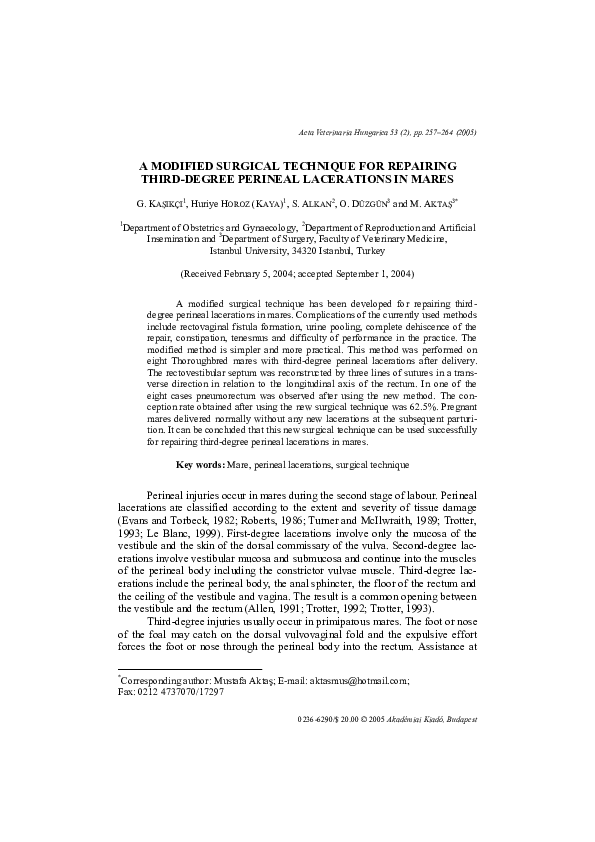 Pdf A Modified Surgical Technique For Repairing Third Degree Perineal