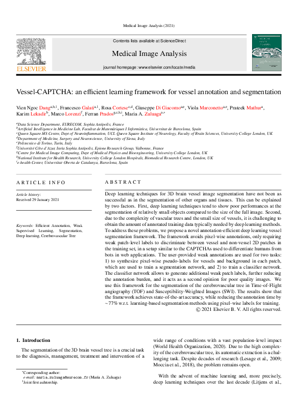 (PDF) Vessel-CAPTCHA: An efficient learning framework for vessel annotation and segmentation