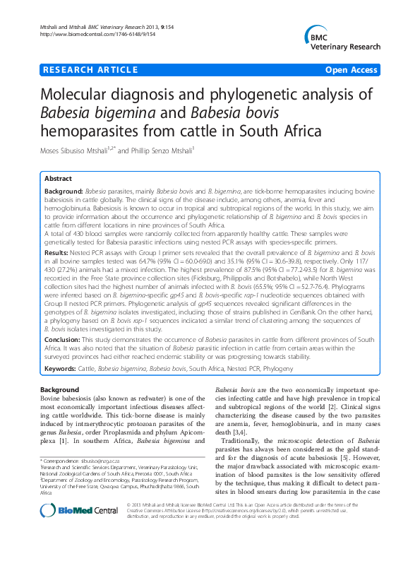 Pdf Molecular Diagnosis And Phylogenetic Analysis Of Babesia Bigemina