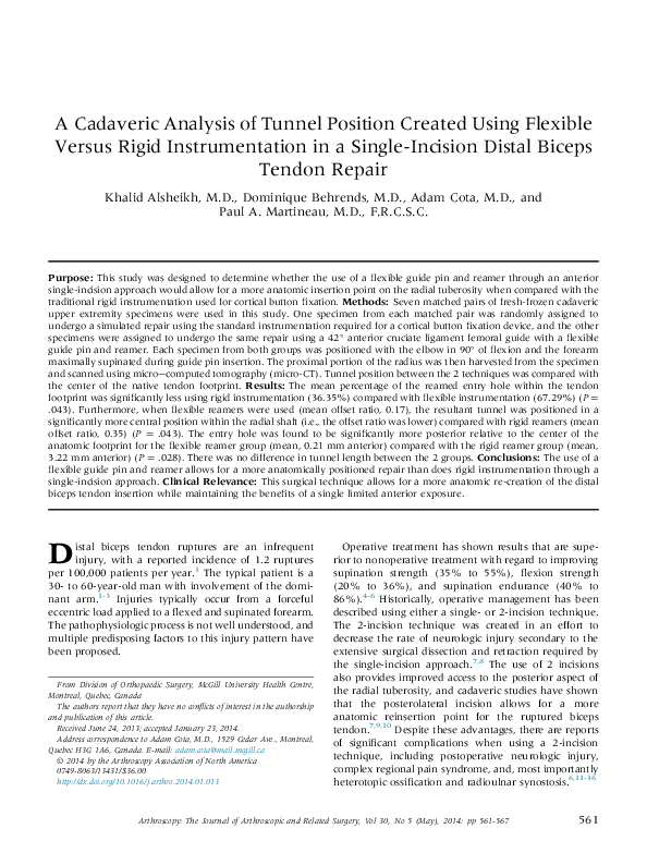 (PDF) A cadaveric analysis of tunnel position created using flexible ...