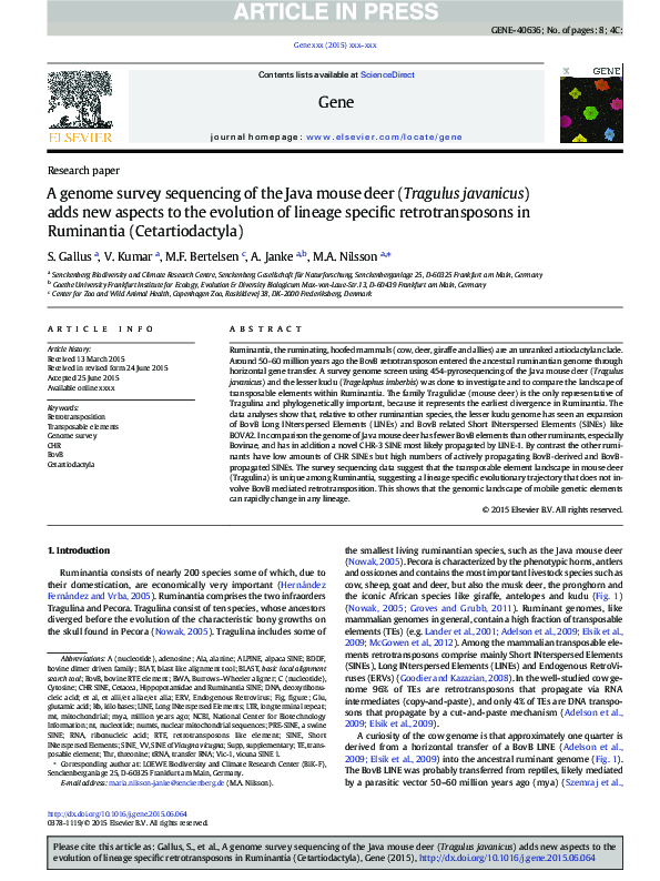 (PDF) A genome survey sequencing of the Java mouse deer (Tragulus ...