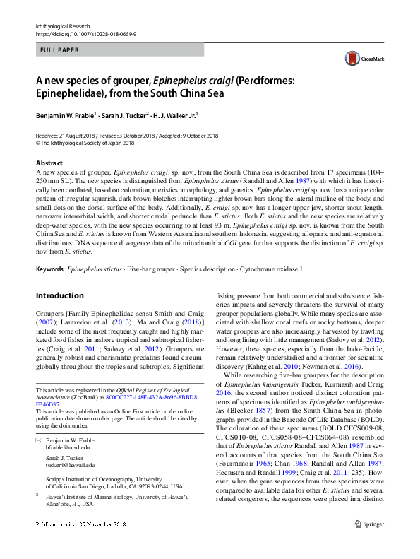 (PDF) A new species of grouper, Epinephelus craigi (Perciformes ...