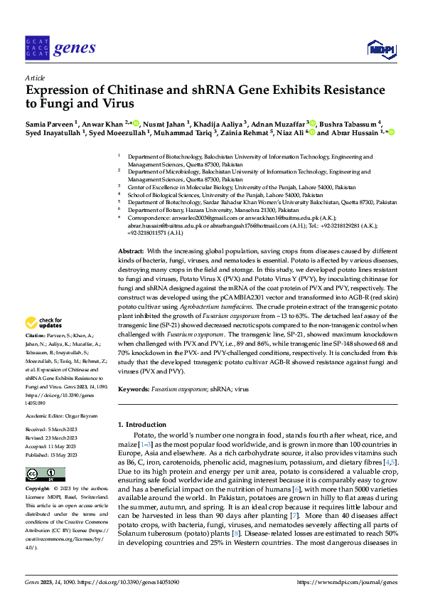 (PDF) Expression of Chitinase and shRNA Gene Exhibits Resistance to Fungi and Virus | Samia ...