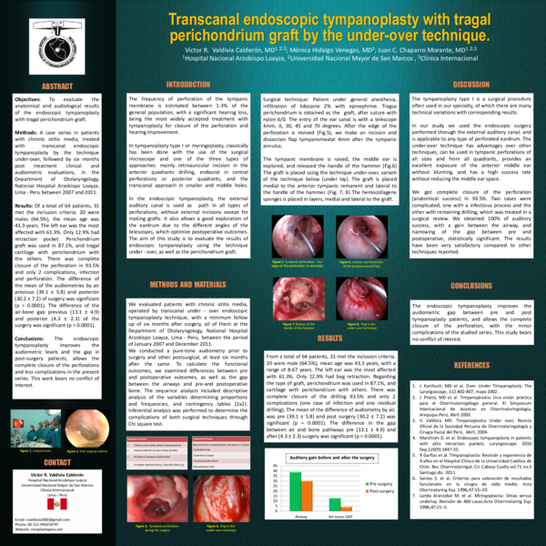 (PDF) Transcanal Endoscopic Tympanoplasty with Tragal Perichondrium ...