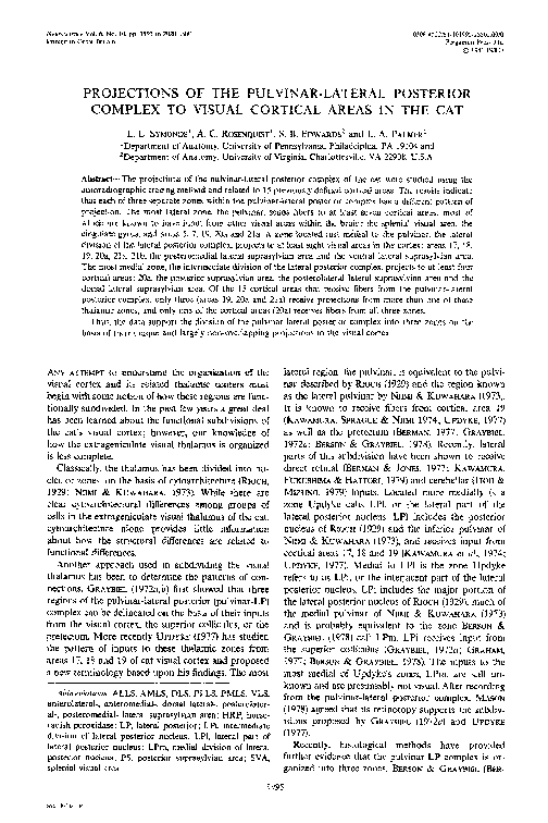 (PDF) Projections of the pulvinar-lateral posterior complex to visual ...