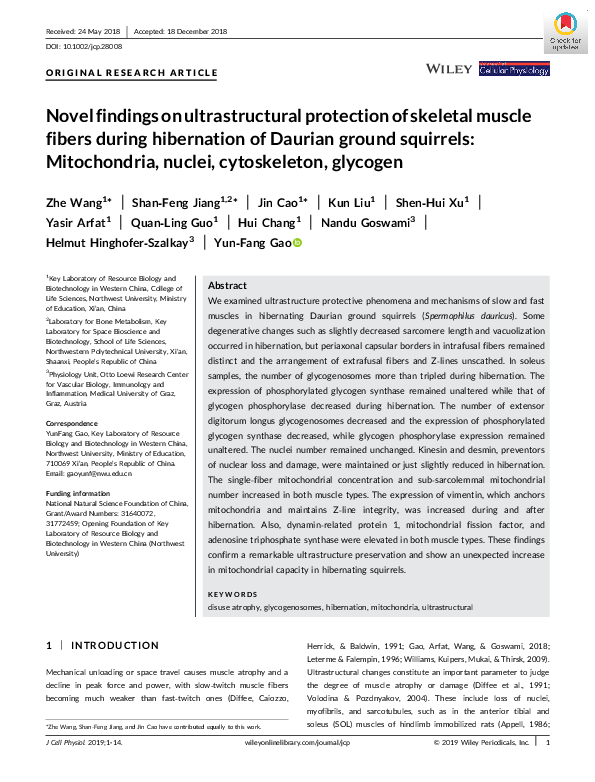 (PDF) Novel findings on ultrastructural protection of skeletal muscle ...