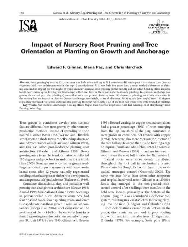 (PDF) Impact of Nursery Root Pruning and Tree Orientation at Planting ...