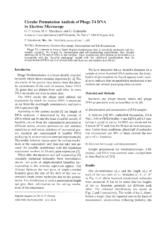 (PDF) Circular Permutation Analysis of Phage T4 DNA by Electron Microscopy