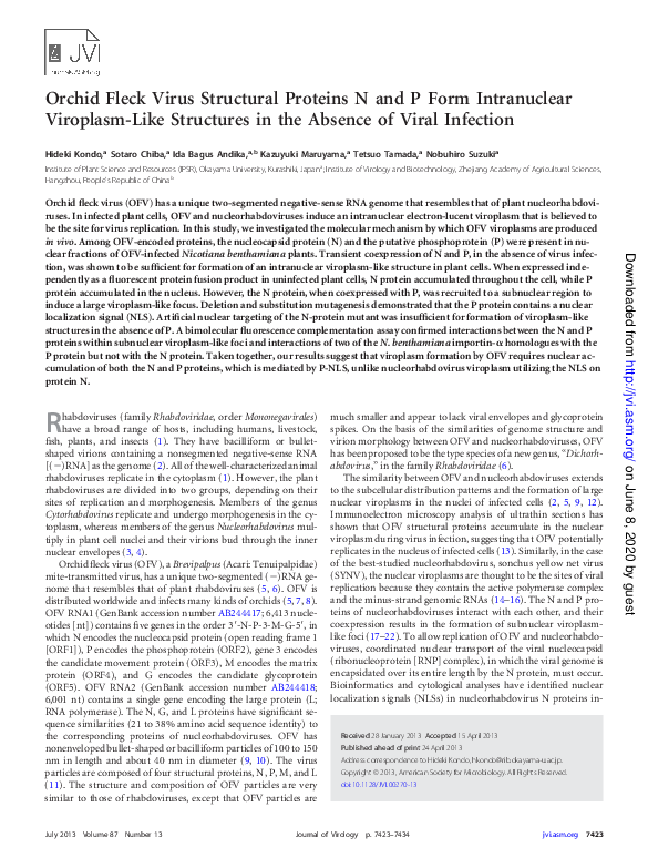 (PDF) First Report of Orchid fleck virus in Costa Rica | Lisela Moreira ...