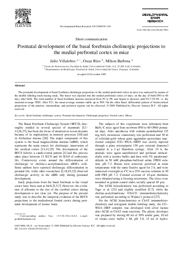 (PDF) Postnatal development of the basal forebrain cholinergic ...