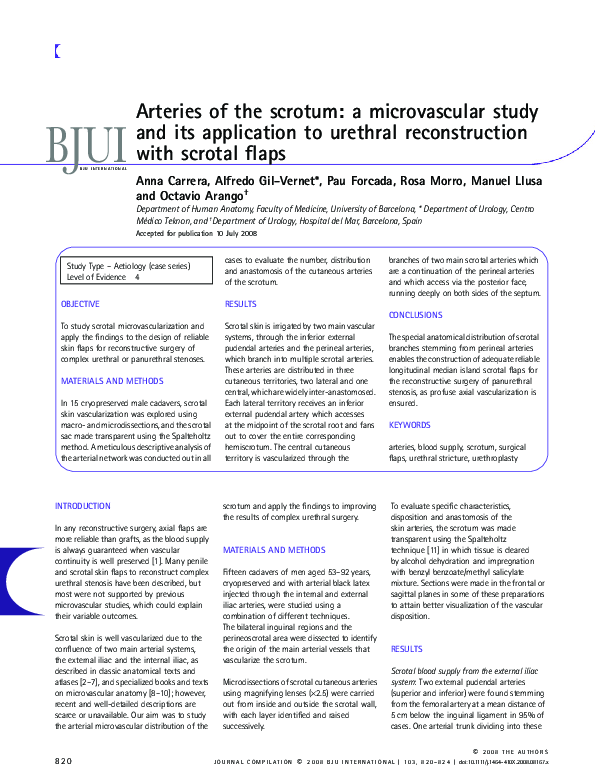 (PDF) Arteries of the scrotum: a microvascular study and its ...