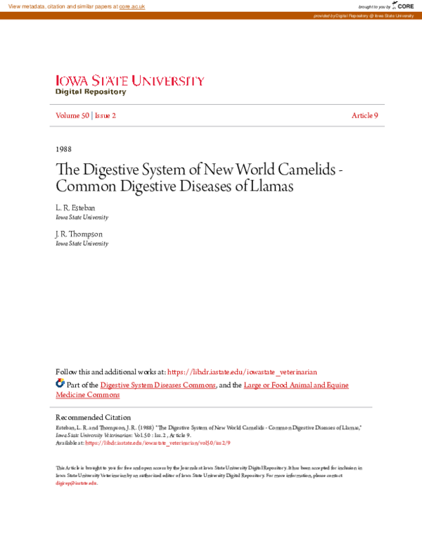 (PDF) The Digestive System of New World Camelids - Common Digestive ...
