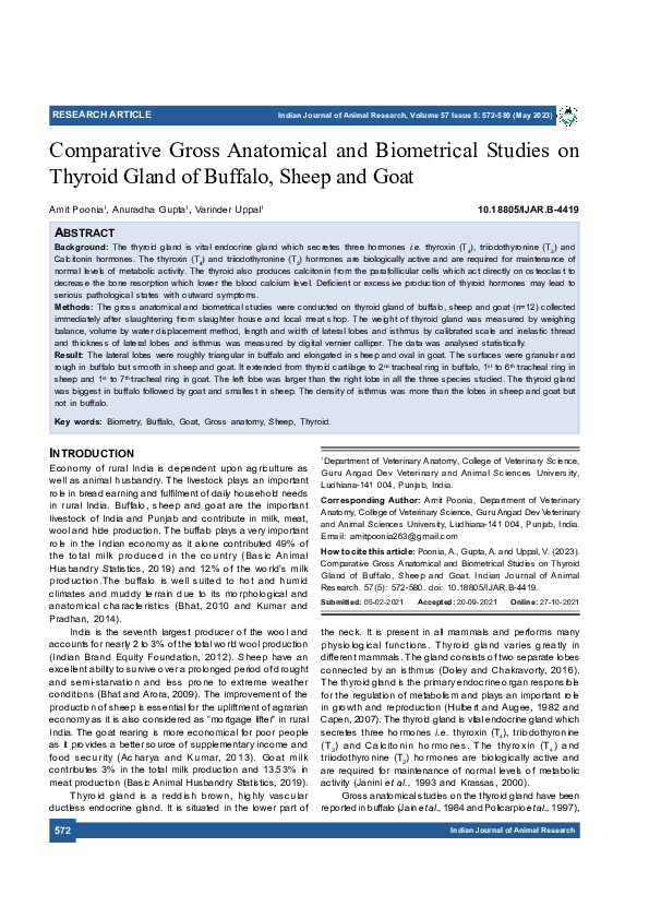 (PDF) Comparative Gross Anatomical and Biometrical Studies on Thyroid ...