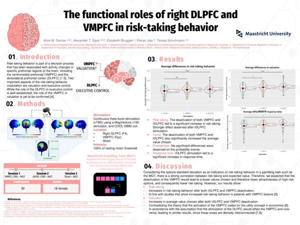 (PDF) The functional relevance of right DLPFC and VMPFC in risk-taking ...