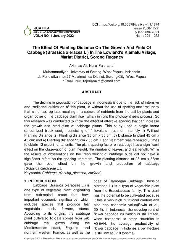 (PDF) The Effect Of Planting Distance On The Growth And Yield Of Cabbage (Brassica oleracea L ...