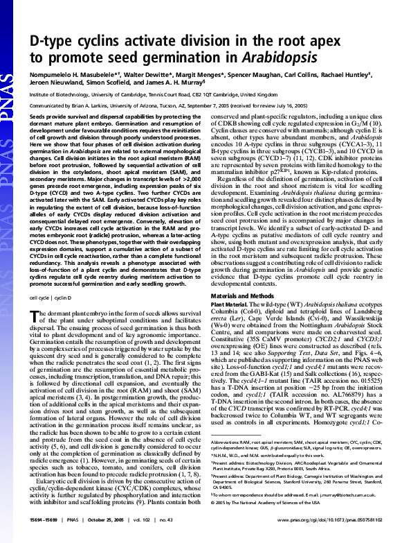 (PDF) D-type cyclins activate division in the root apex to promote seed ...