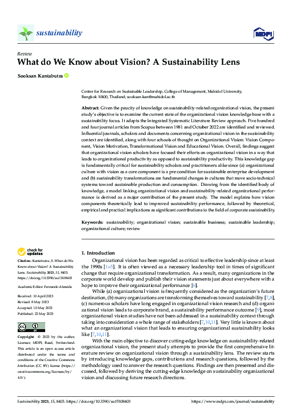 (PDF) What do We Know about Vision? A Sustainability Lens