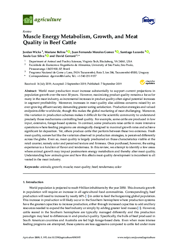 (PDF) Muscle Energy Metabolism, Growth, and Meat Quality in Beef Cattle