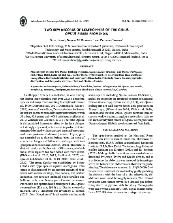 (PDF) Two New Records of Leafhoppers Of The Genus Opsius Fieber from India