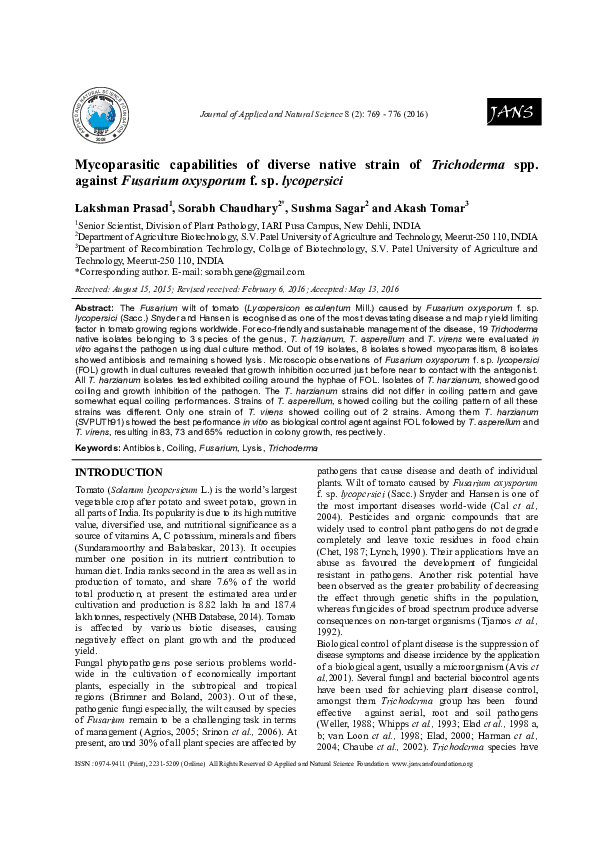 (PDF) Mycoparasitic capabilities of diverse native strain of Trichoderma spp. against Fusarium ...