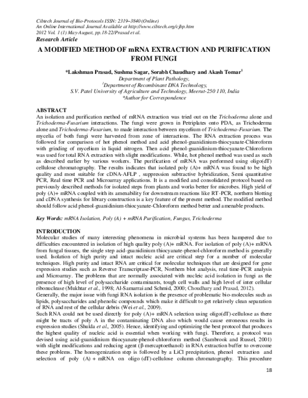 (PDF) A MODIFIED METHOD OF mRNA EXTRACTION AND PURIFICATION FROM FUNGI