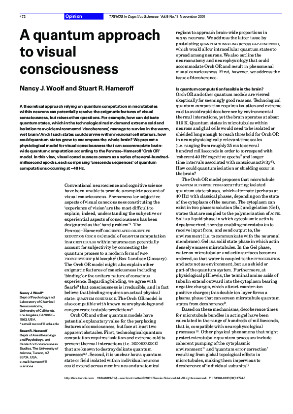 (PDF) A quantum approach to visual consciousness
