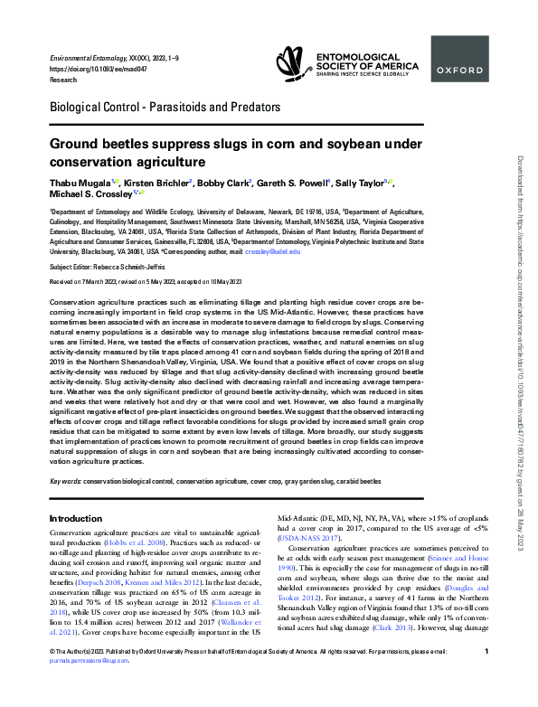 (PDF) Ground beetles suppress slugs in corn and soybean under ...