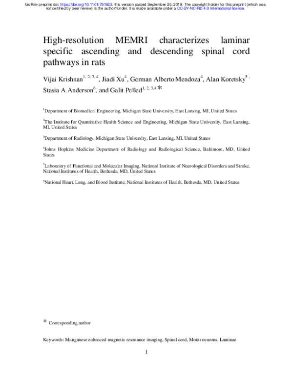 (PDF) High-resolution MEMRI characterizes laminar specific ascending ...