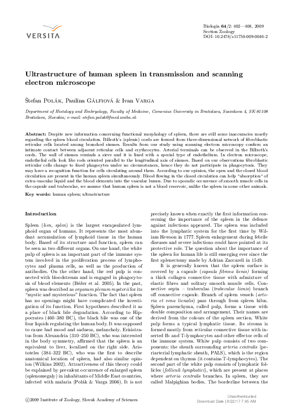 (PDF) Ultrastructure of human spleen in transmission and scanning ...
