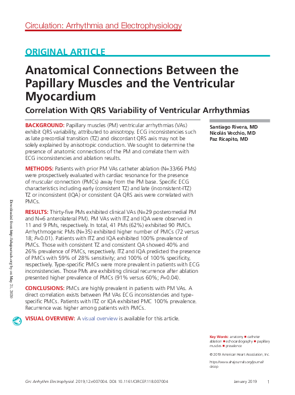 (PDF) Anatomical Connections Between the Papillary Muscles and the ...