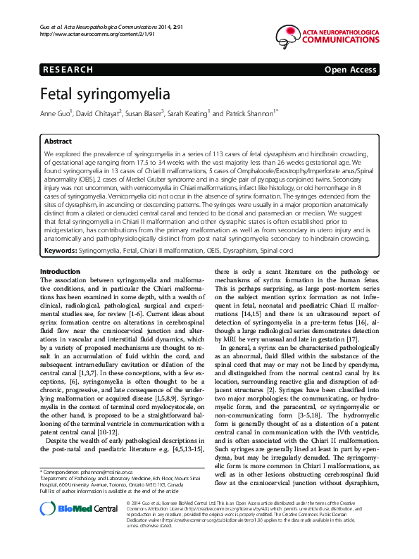 (PDF) Fetal syringomyelia