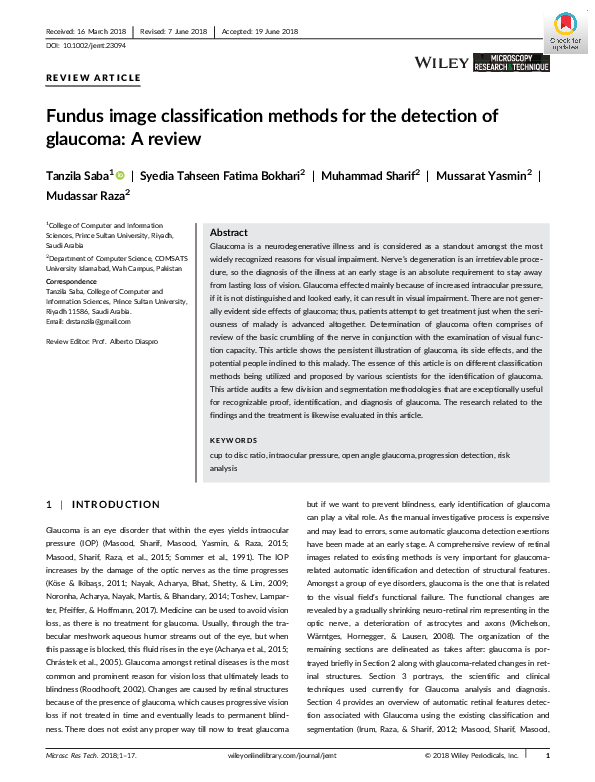 (PDF) Fundus image classification methods for the detection of glaucoma: A review