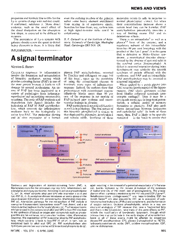 (PDF) A signal terminator | Nicolas Bazan - Academia.edu