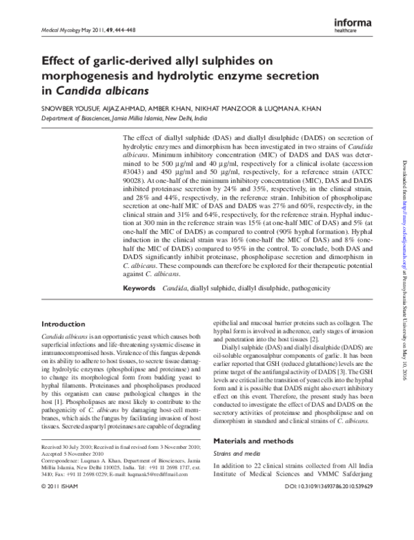 (PDF) in Candida albicans