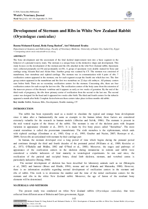 (PDF) Development of Sternum and Ribs in White New Zealand Rabbit ...