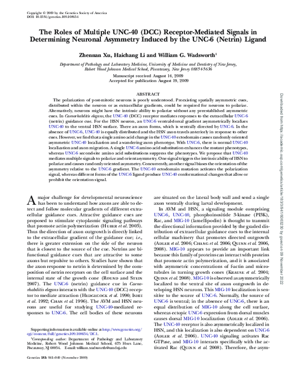 (PDF) The Roles of Multiple UNC-40 (DCC) Receptor-Mediated Signals in Determining Neuronal ...