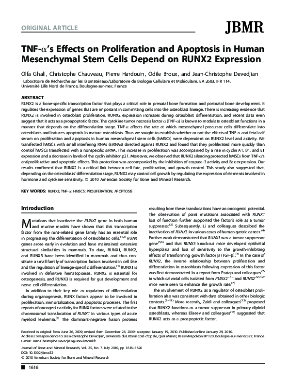 (PDF) TNF-α's effects on proliferation and apoptosis in human mesenchymal stem cells depend on ...