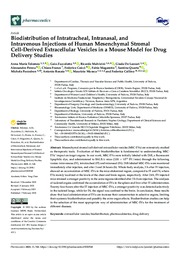 (PDF) Biodistribution of Intratracheal, Intranasal, and Intravenous ...