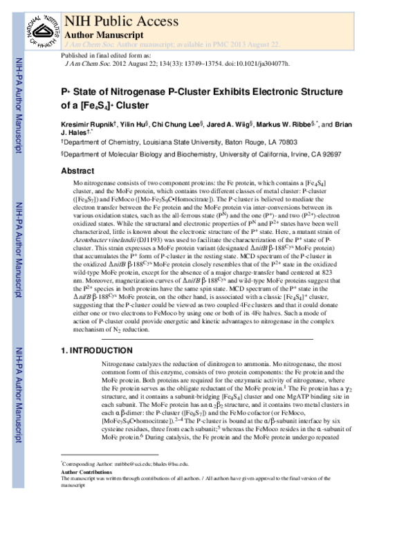 (PDF) P+ State of Nitrogenase P-Cluster Exhibits Electronic Structure ...