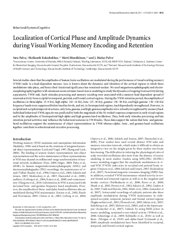 Pdf Localization Of Cortical Phase And Amplitude Dynamics During Visual Working Memory