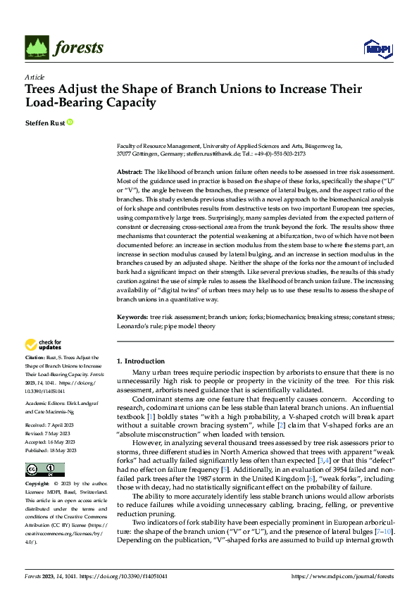 (PDF) Trees Adjust the Shape of Branch Unions to Increase Their Load ...