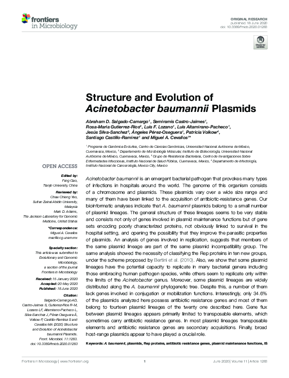 (PDF) Acinetobacter baumannii Plasmid Lineage Analysis