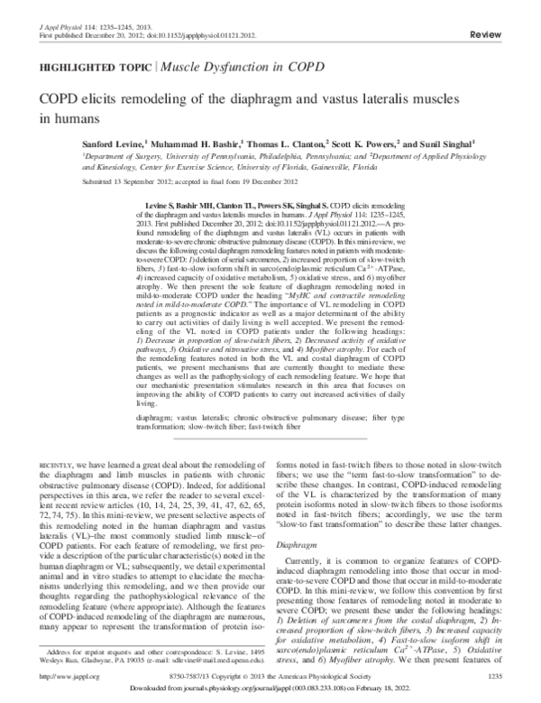 (PDF) COPD elicits remodeling of the diaphragm and vastus lateralis ...