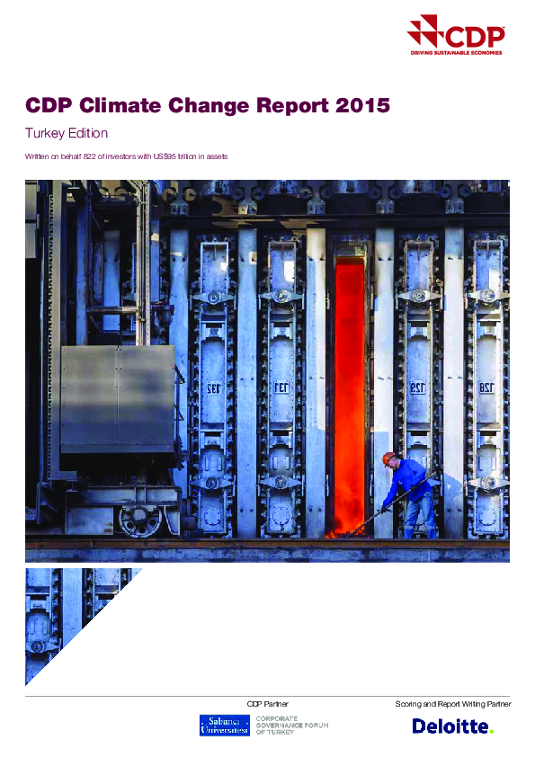(PDF) CDP Climate Change Report 2015: Turkey edition | Melsa Ararat ...