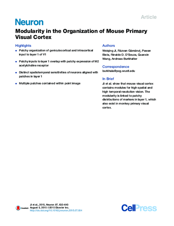 (PDF) Modularity in the Organization of Mouse Primary Visual Cortex