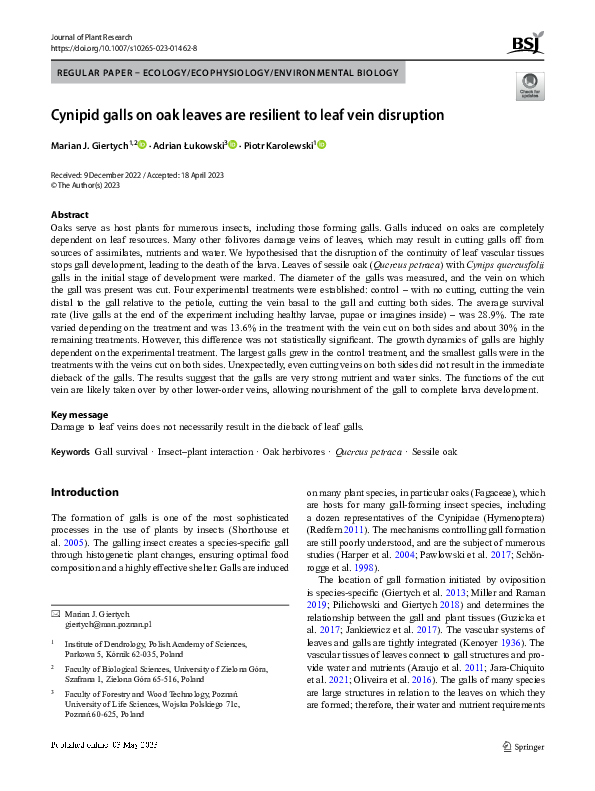 (PDF) Cynipid galls on oak leaves are resilient to leaf vein disruption