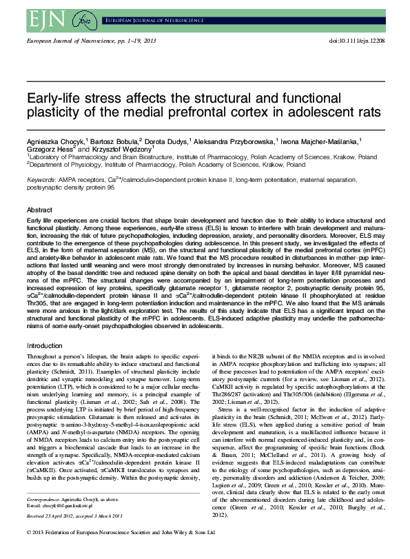 (PDF) Early-life stress affects the structural and functional ...