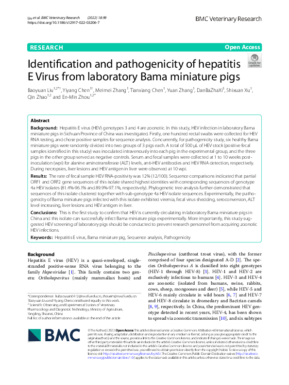 (PDF) Identification and Pathogenicity of Hepatitis E Virus From ...