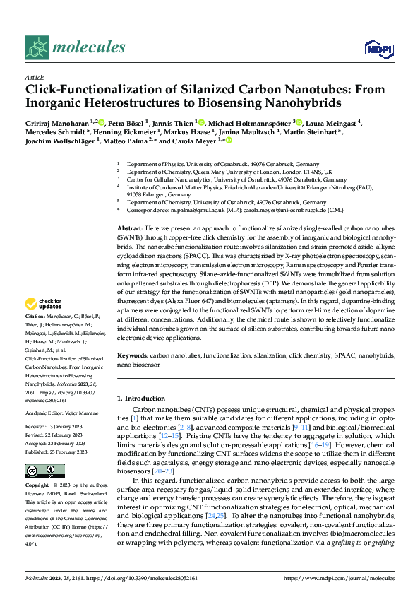(PDF) Click-Functionalization of Silanized Carbon Nanotubes: From ...