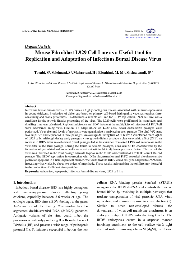 (PDF) Mouse Fibroblast L929 Cell Line as a Useful Tool for Replication ...